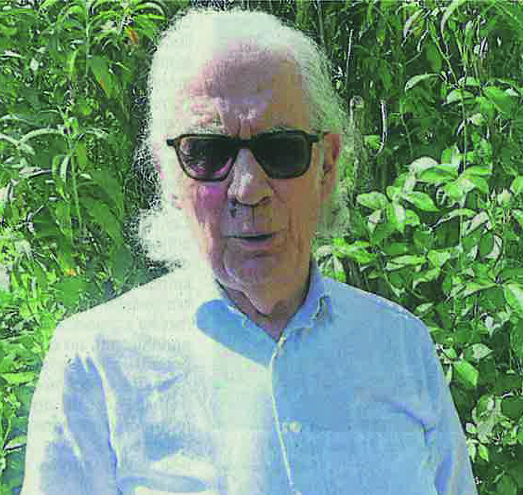 MICHEL Pierre – Éditions du Petit Pavé